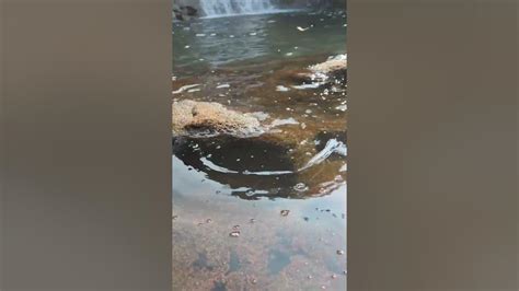 Kondhwal Waterfall Near Bhimashankar Youtube