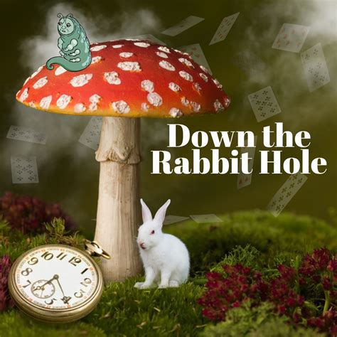 Down The Rabbit Hole Aspen Waite Radio