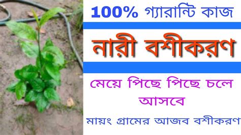 মেয়েবউ বশ করার আজব গাছ।বশীকরণ করার উপায়।প্রেশাব দিয়ে বশীকরণ