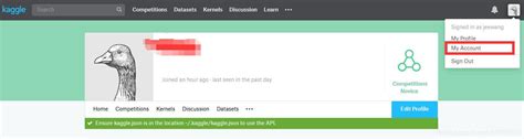 下载kaggle数据集kaggle Pku Csdn博客