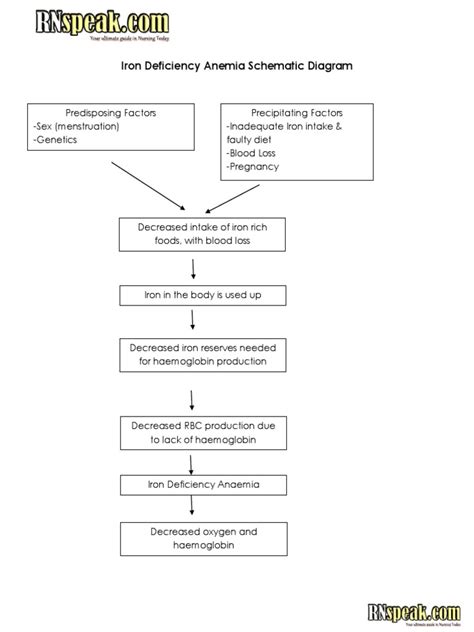 Iron Deficiency Anemia Pathophysiology Diagram Pdf