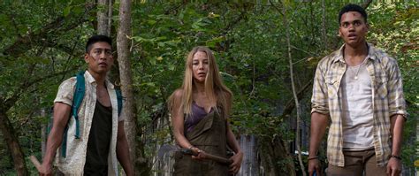 Wrong Turn