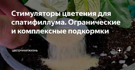 Стимуляторы цветения для спатифиллума. Огранические и комплексные ...