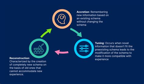What Is Cognitive Learning Theory