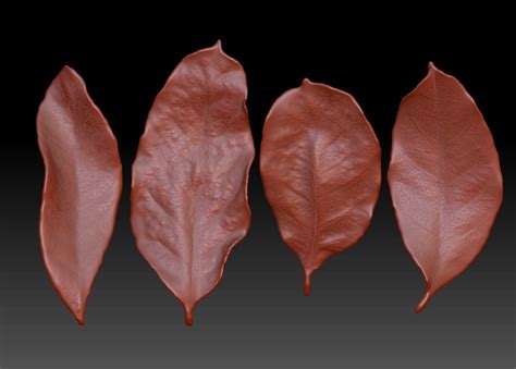 Zbrush Leaf Brush Leaf Foliage Leafage 3d Printing Leaves 3d Model 3d