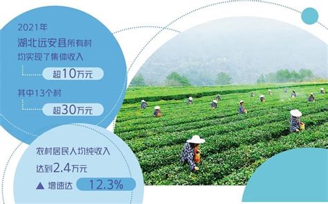 湖北远安：农旅融合赋能乡村振兴 知乎