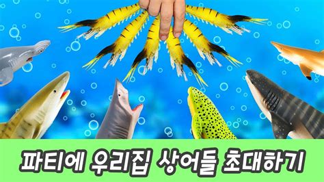 한국어ㅣ파티에 우리집 상어들 초대하기 상어 만화 상어 이름 맞추기 컬렉타 224ㅣ꼬꼬스토이 Youtube
