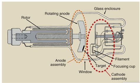 Physics 1 Chapter 5 And 6 The X Ray Tube And Console Flashcards Quizlet