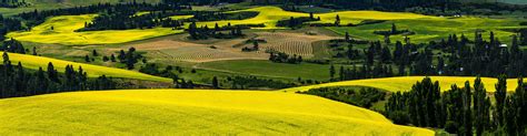 About TIDE -Tide International Canada, Inc.