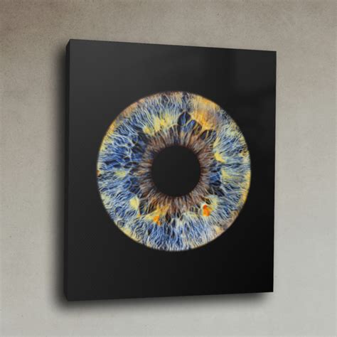 Iris Art Galleria
