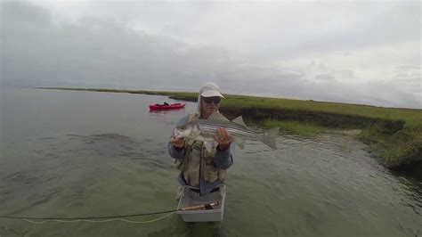 Late Summer Fly Fishing Action In The Creek 2015 Youtube