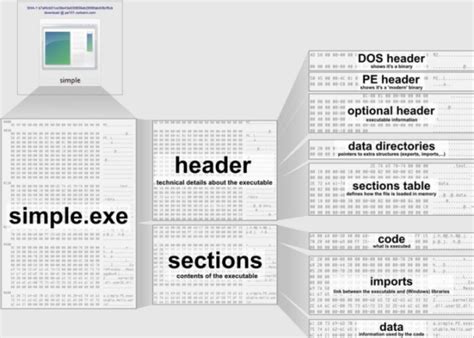 Pe Headers Pe Headers