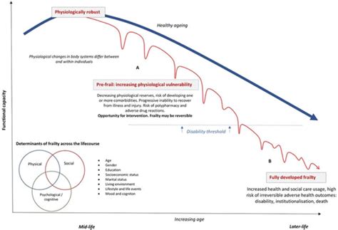 Determinants And Development Of Frailty The Ideal Healthy Ageing Download Scientific Diagram