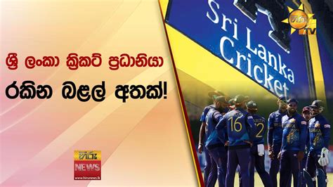 ශ්‍රී ලංකා ක්‍රිකට් ප්‍රධානියා රකින බළල් අතක් Hiru News Youtube