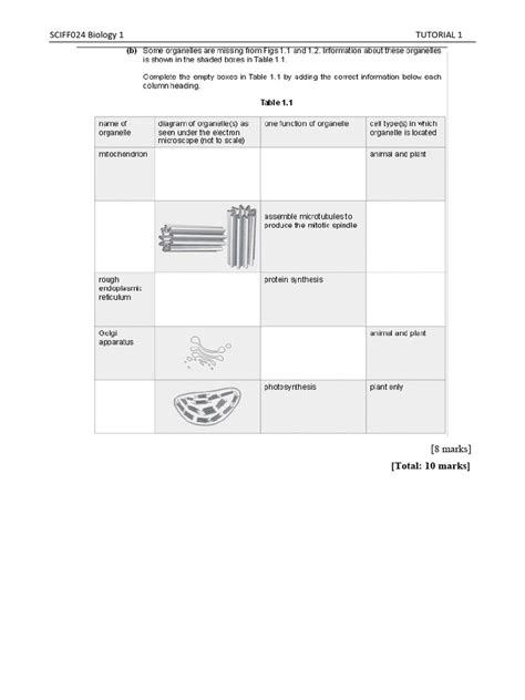 tutorial 2 pdf