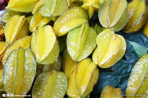 杨桃摄影图水果生物世界摄影图库昵图网