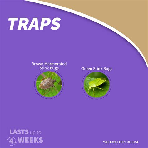 Bonide Stink Bug Trap Plant Addicts