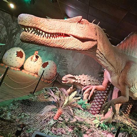 Jurassic Gardens In Volo Il With Photos