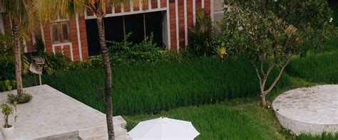 Dining And Cooking Class Experience At Boheme Canggu Bali Klook