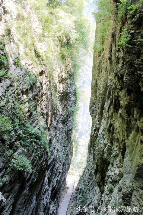 帶你玩轉張家界大峽谷玻璃橋 天門山二日游 每日頭條