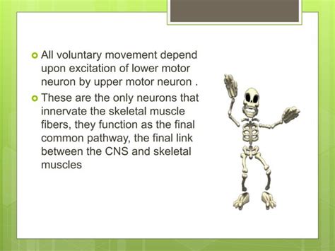 Lower Motor Neuron Lesion Lmnl Pptx