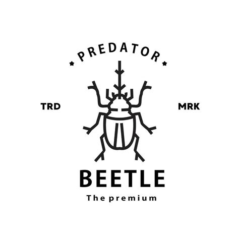 Vintage Retro Hipster Beetle Logo Vector Outline Monoline Art Icon