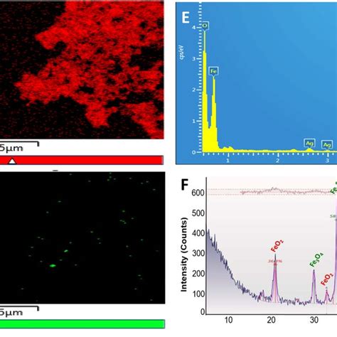 Energy Dispersive Spectroscopy Eds Analysis And X Ray Diffraction
