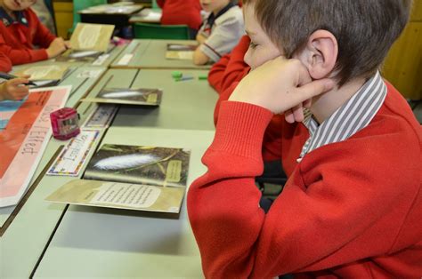 Reading Comprehension Working Memory Part 9 Reviewing