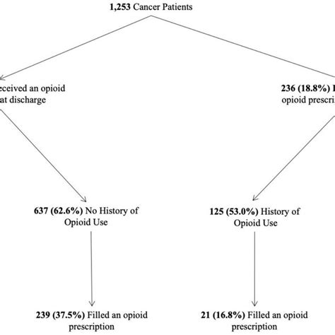 Flowchart Of Opioid Consumption According To Cancer Patients Receipt Download Scientific