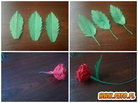 Цветы из гофрированной бумаги Несколько мастер классов