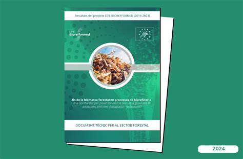 Use Of Forest Biomass In Biorefinery Processes A Technical Dossier