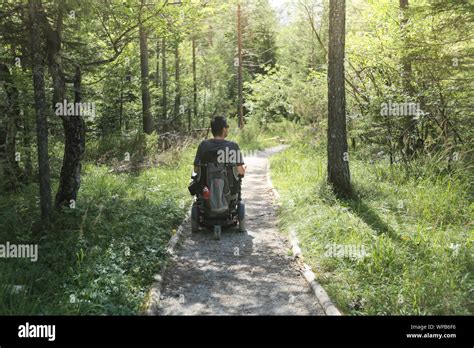Happy Man On Wheelchair In Nature Exploring Forest Wilderness On An