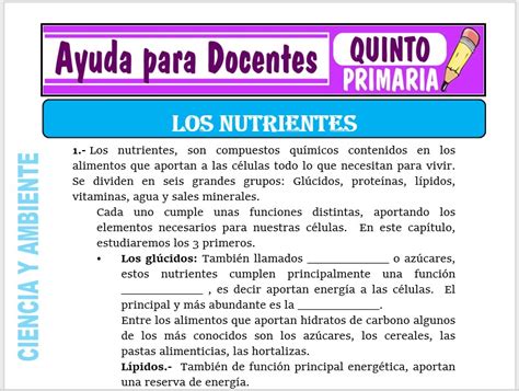 El Blog De Quinto C Esquema De Los Nutrientes