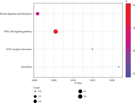 a the dot plots of go enrichment analysis b the dot plots of kegg
