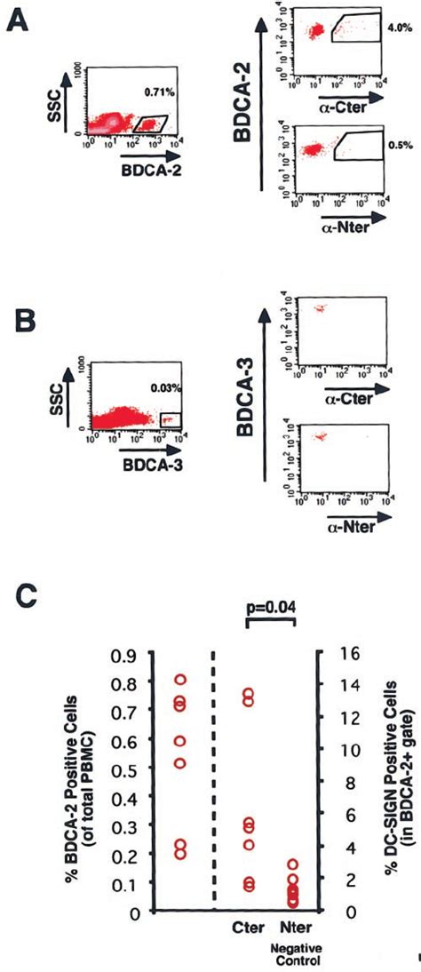 Dc Sign Is Expressed On Only A Subset Of Pbdc Precursors Bdca 2 And