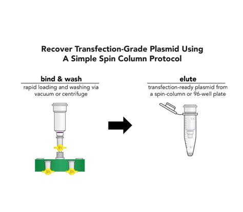 Zymopure Plasmid Miniprep Kit Get A Free Sample Today