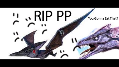 Inx Duos Tiny And Mizzys Full Duos Experience Youtube