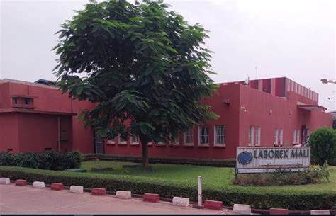 Laborex Mali