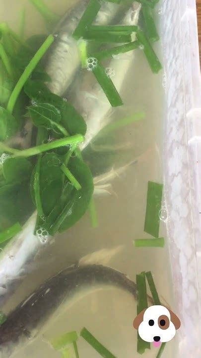 Sinabaw Na Borot Borot Youtube