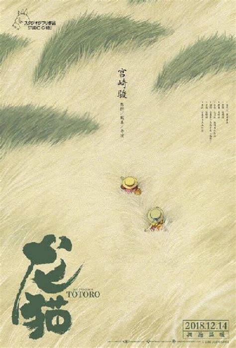 龙猫公布了最新的中国版海报获得了中日网友的一致好评 哔哩哔哩