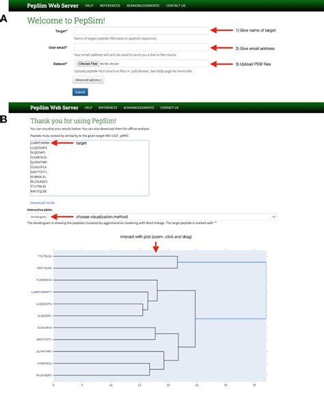 Frontiers Pepsim T Cell Cross Reactivity Prediction Via Comparison Of Peptide Sequence And