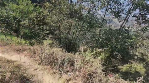 सस्तो जग्गा बिक्रीमा आनाको ३ लाख ५० हजार मात्र Youtube