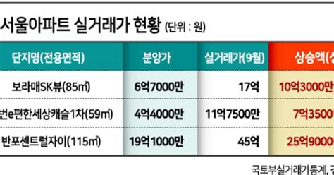 로또 맞네4년 전 분양한 서울아파트 평균 10억 올랐다