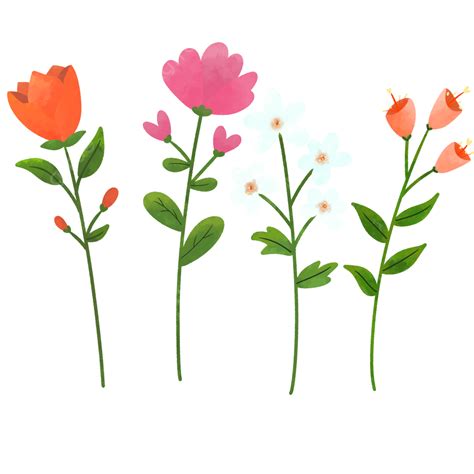 Flores Em Aquarela Png Flores Em Aquarela Aquarela De