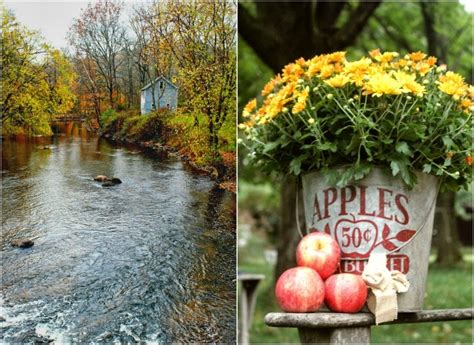 The Big Giant Food Basket