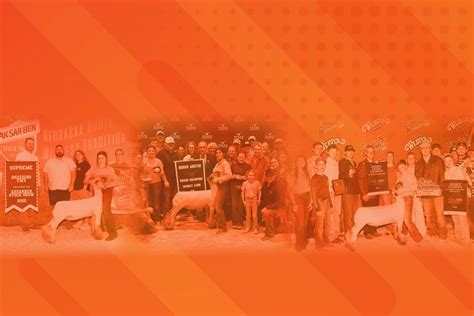 Lamb Products2025 — Essential Feeds