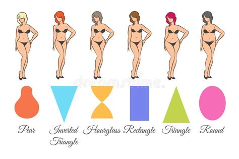 Female Body Shape Types Pear Inverted Triangle Apple Rectangle