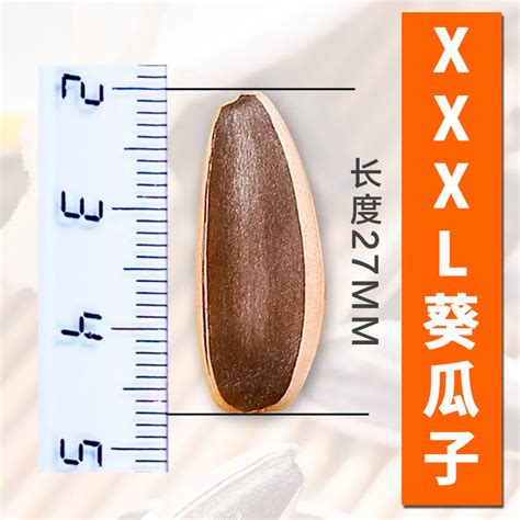 旭东百里挑一原味葵瓜籽2500g大包装葵瓜子零食坚果炒货批发年货虎窝淘