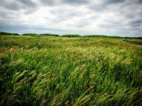 What Are Carbon Sinks Overview Types Impact