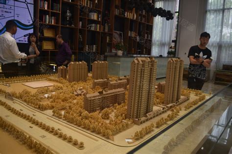 漯河西溪花园 沙盘图 80 漯河安居客